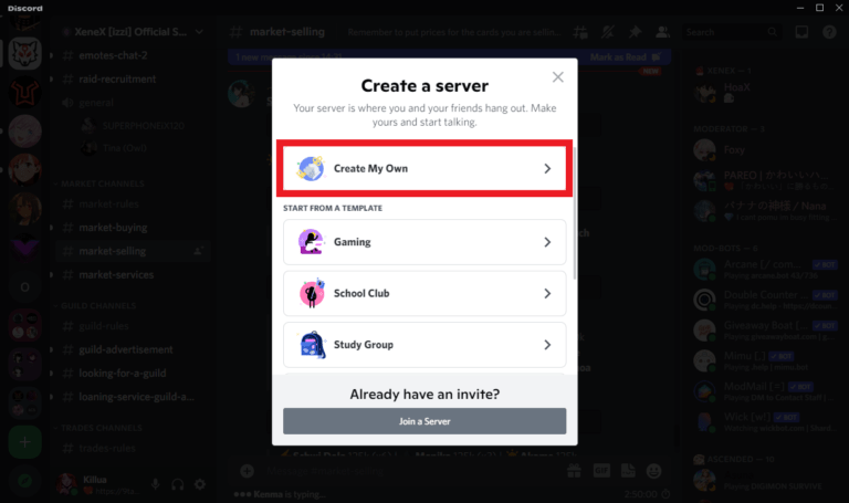 How to Create an Aesthetic Discord Server - Geeky GF