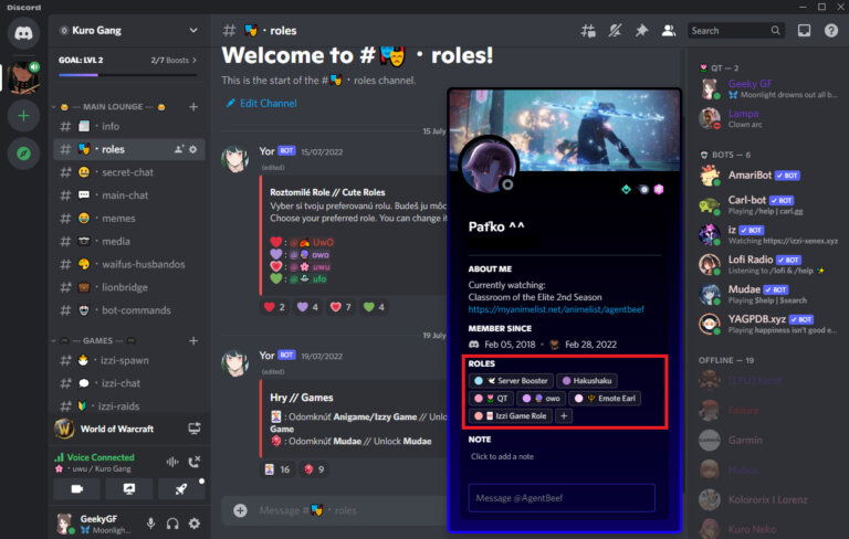 How to Create an Aesthetic Discord Server - Geeky GF